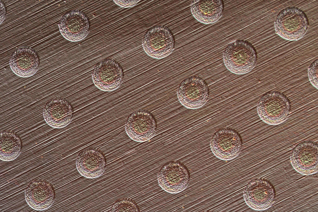 The Liu Laboratory – Home for The Liu Laboratory